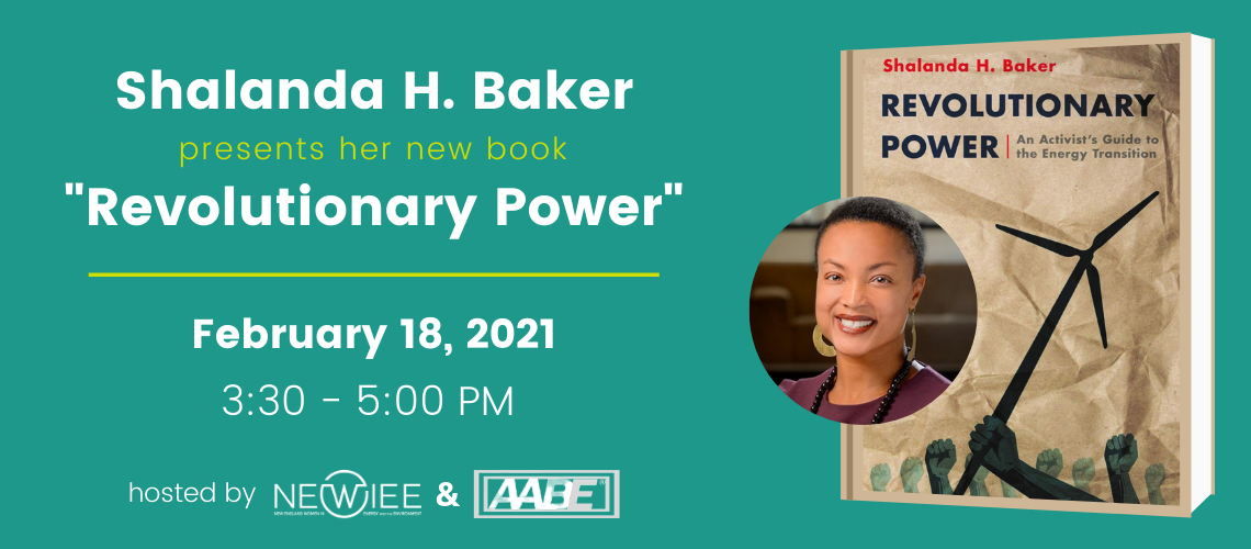 2021.02_newiee-shalanda-baker-book-presentation – NEWIEE